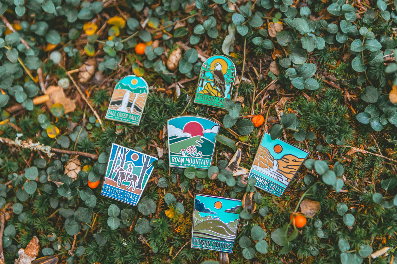 TNSP - Roan Mountain Enamel Pin – Tennessee State Parks Online Gift Shop