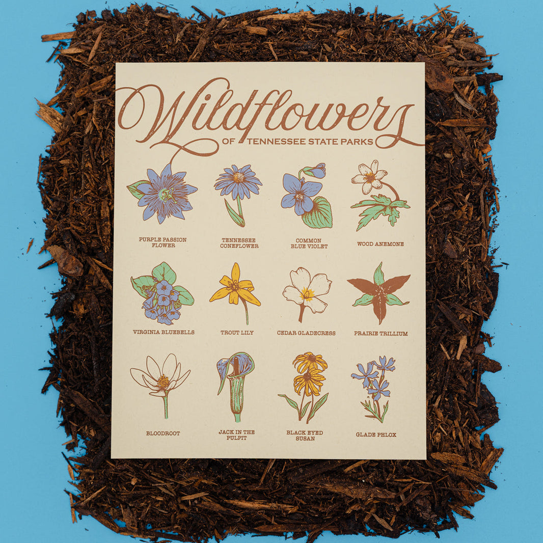 Wildflowers – Tennessee State Parks Online Gift Shop